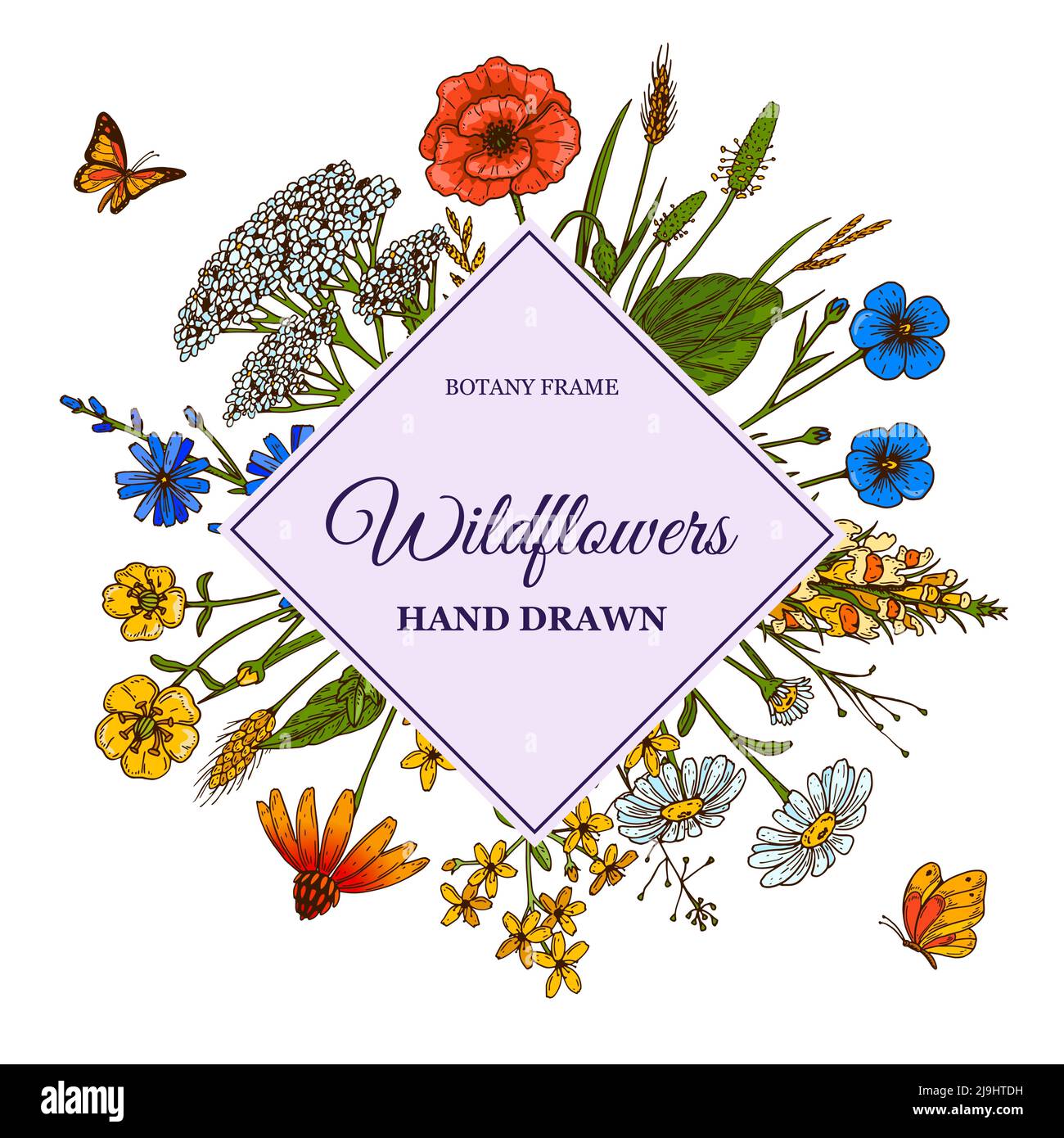 Hand drawn square summer wildflowers frame with butterflies. Vector ...