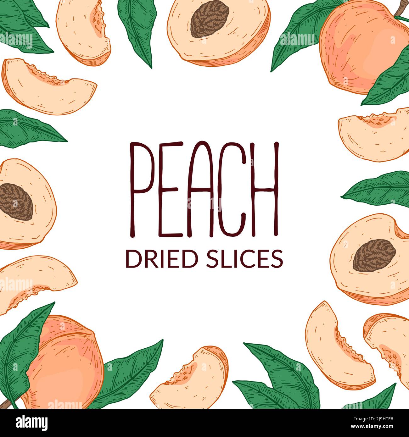 Hand drawn peach design. Vector illustration in sketch style Stock ...