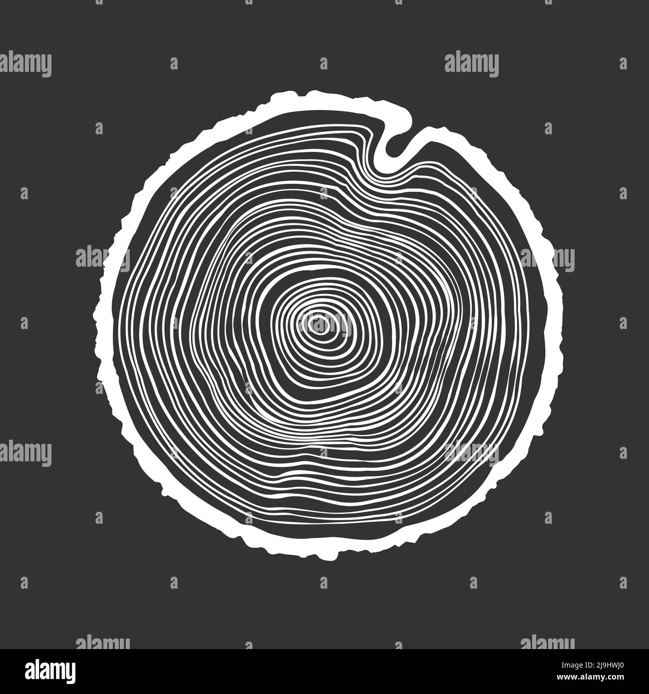Round tree trunk cut, sawn pine or oak slice. Saw cut timber, wood ...