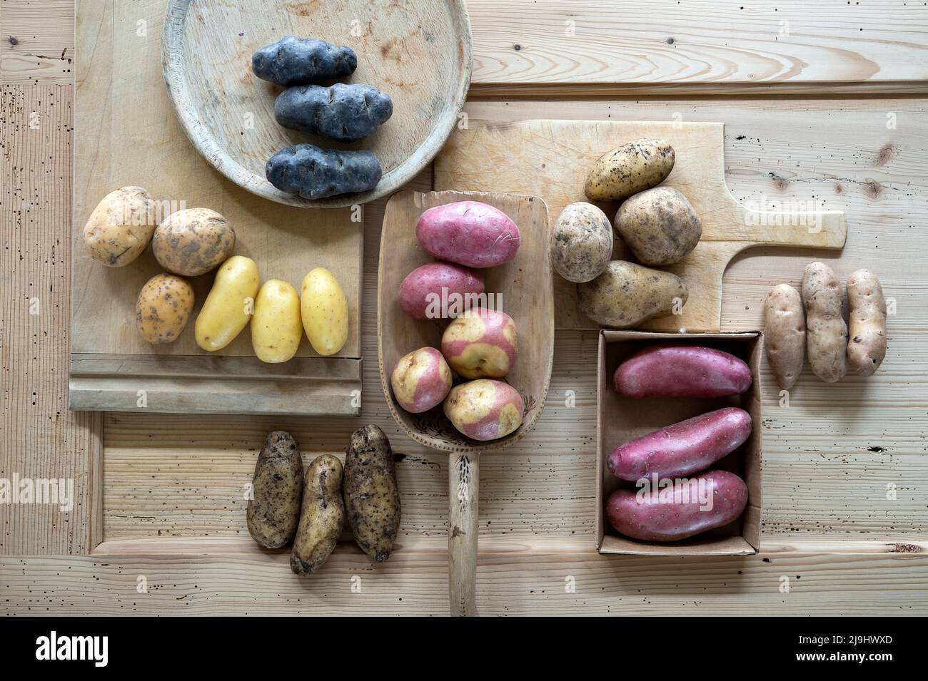 Potato jazzy hi-res stock photography and images - Alamy