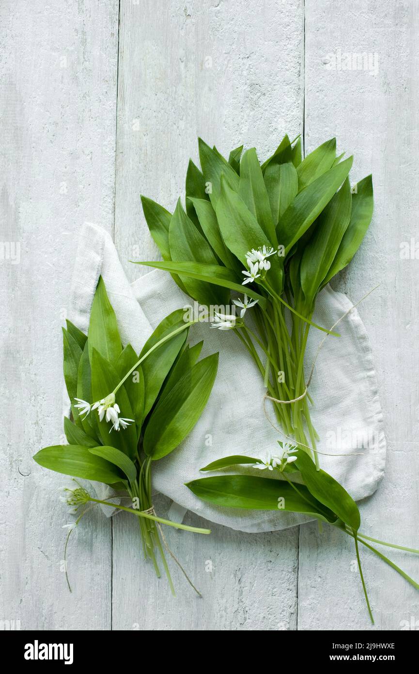 Studio shot of napkin and fresh ramson leaves lying against wooden ...