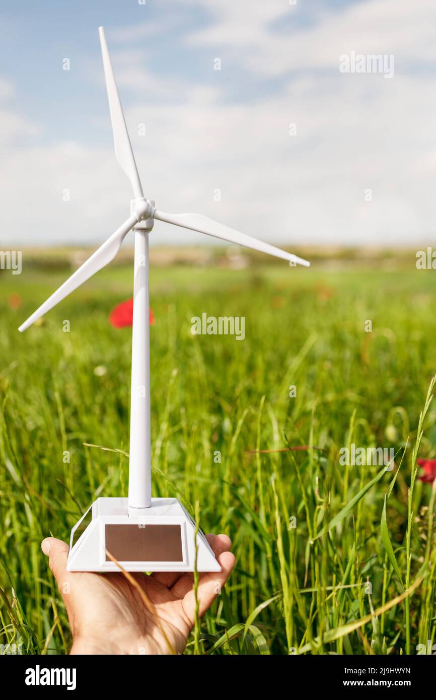 Man with wind turbine model in green field on sunny day Stock Photo - Alamy