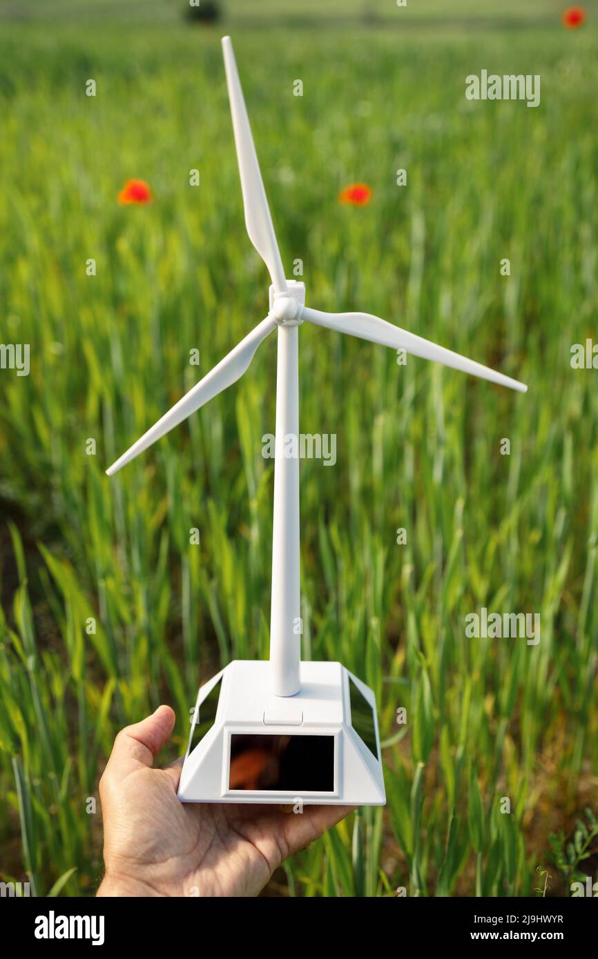 Mature man's hand holding wind turbine model in green field Stock Photo ...