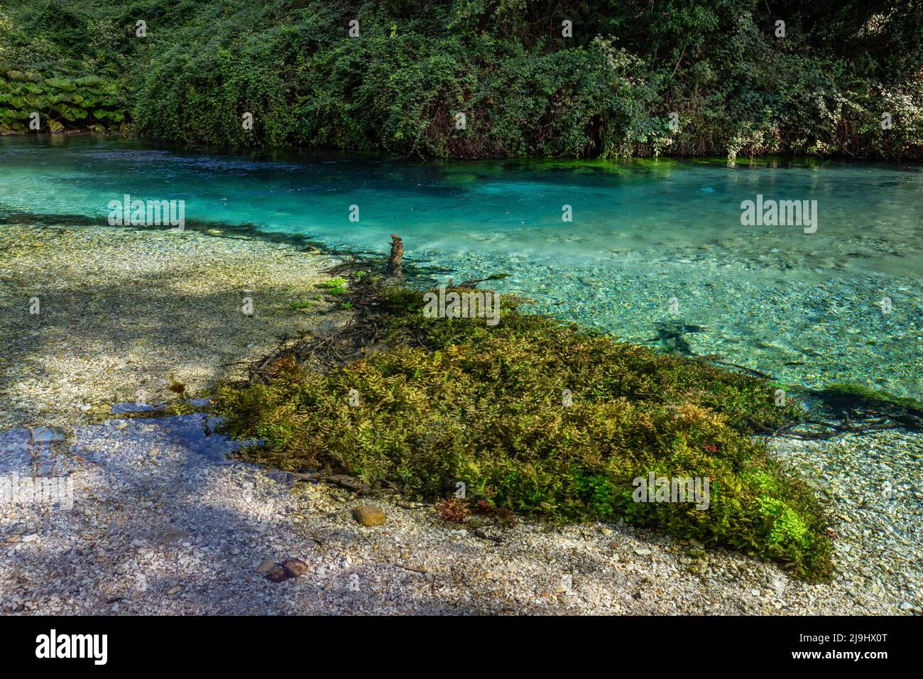 Beautiful view karst spring by trees sunny day hi-res stock photography ...