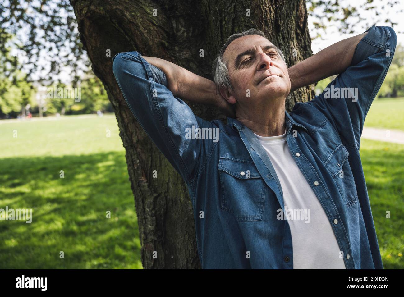 Senior man with hands behind head leaning on tree trunk at park Stock ...