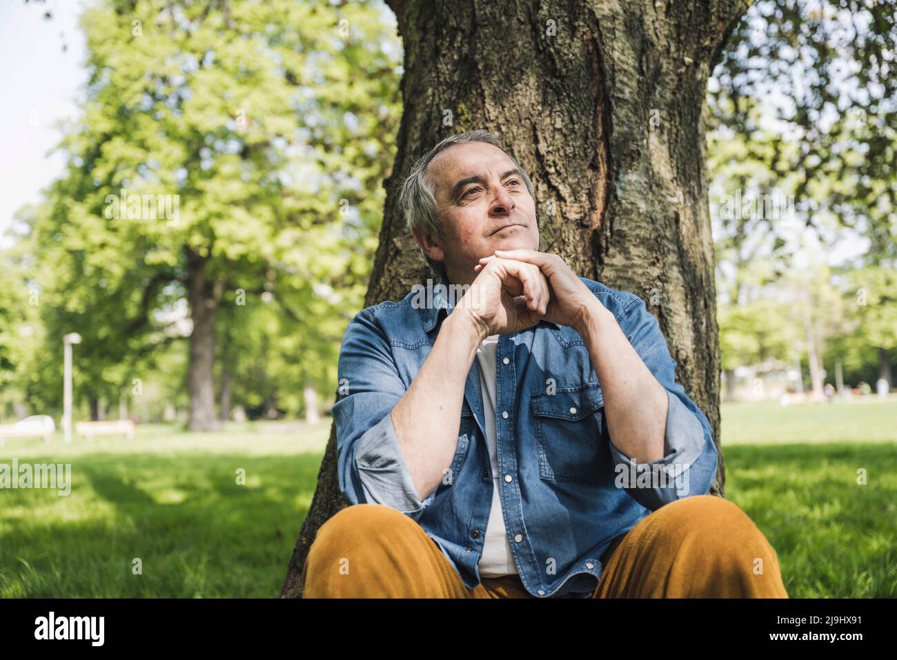 Thoughtful senior man with hand on chin sitting in front of tree at ...