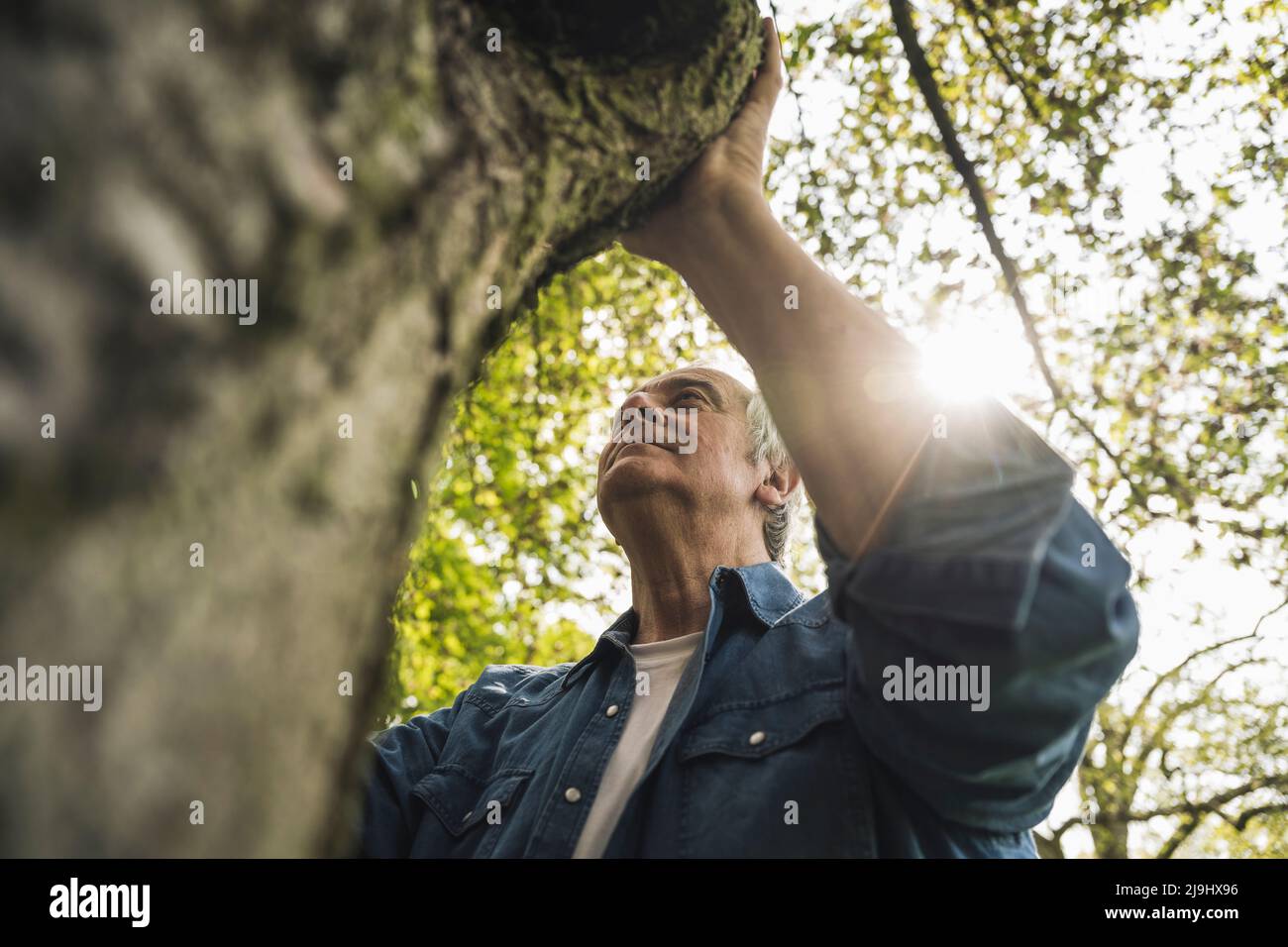 Senior man standing by tree trunk at park Stock Photo - Alamy