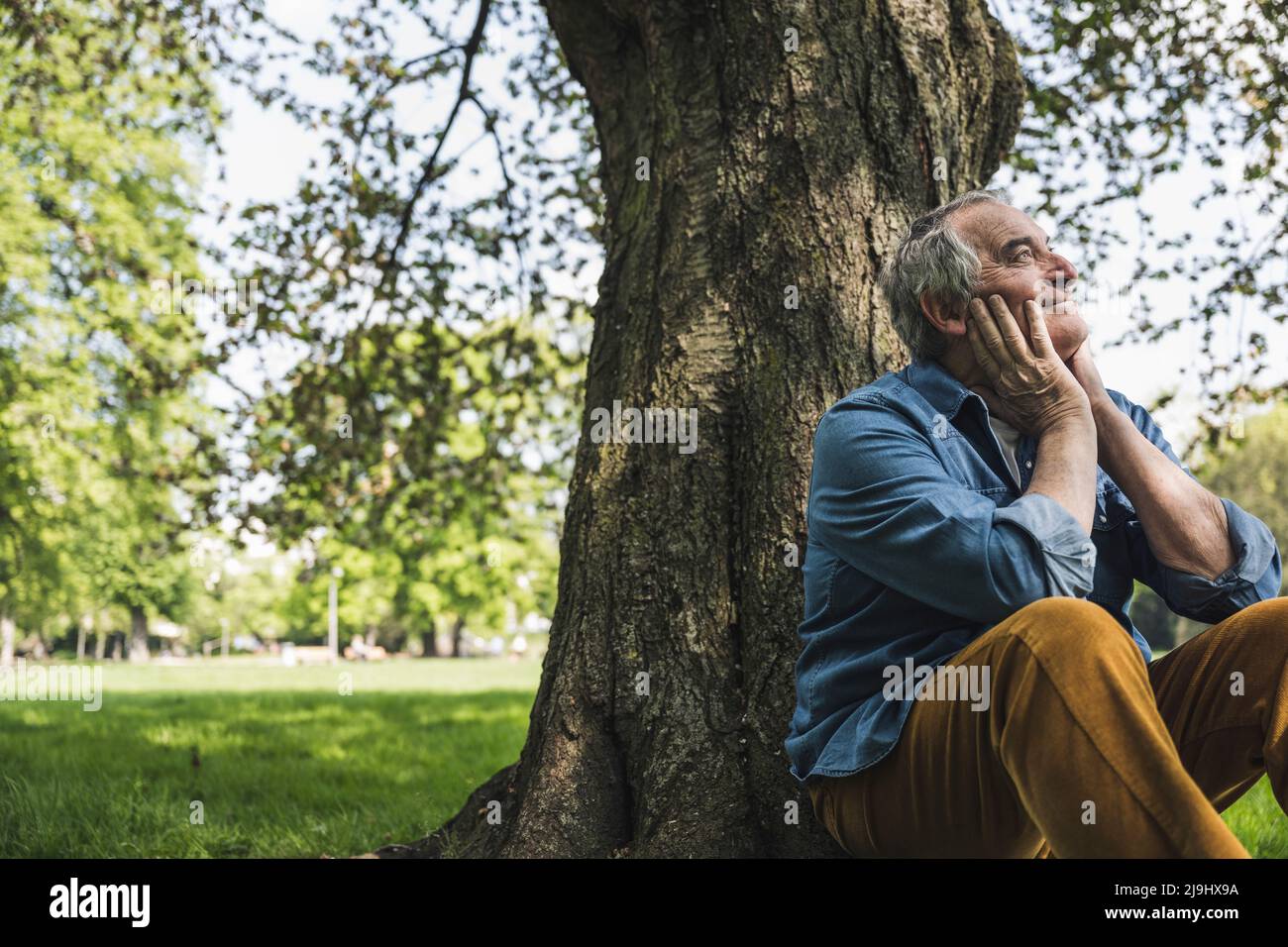 Man sitting tree outdoors hi-res stock photography and images - Alamy