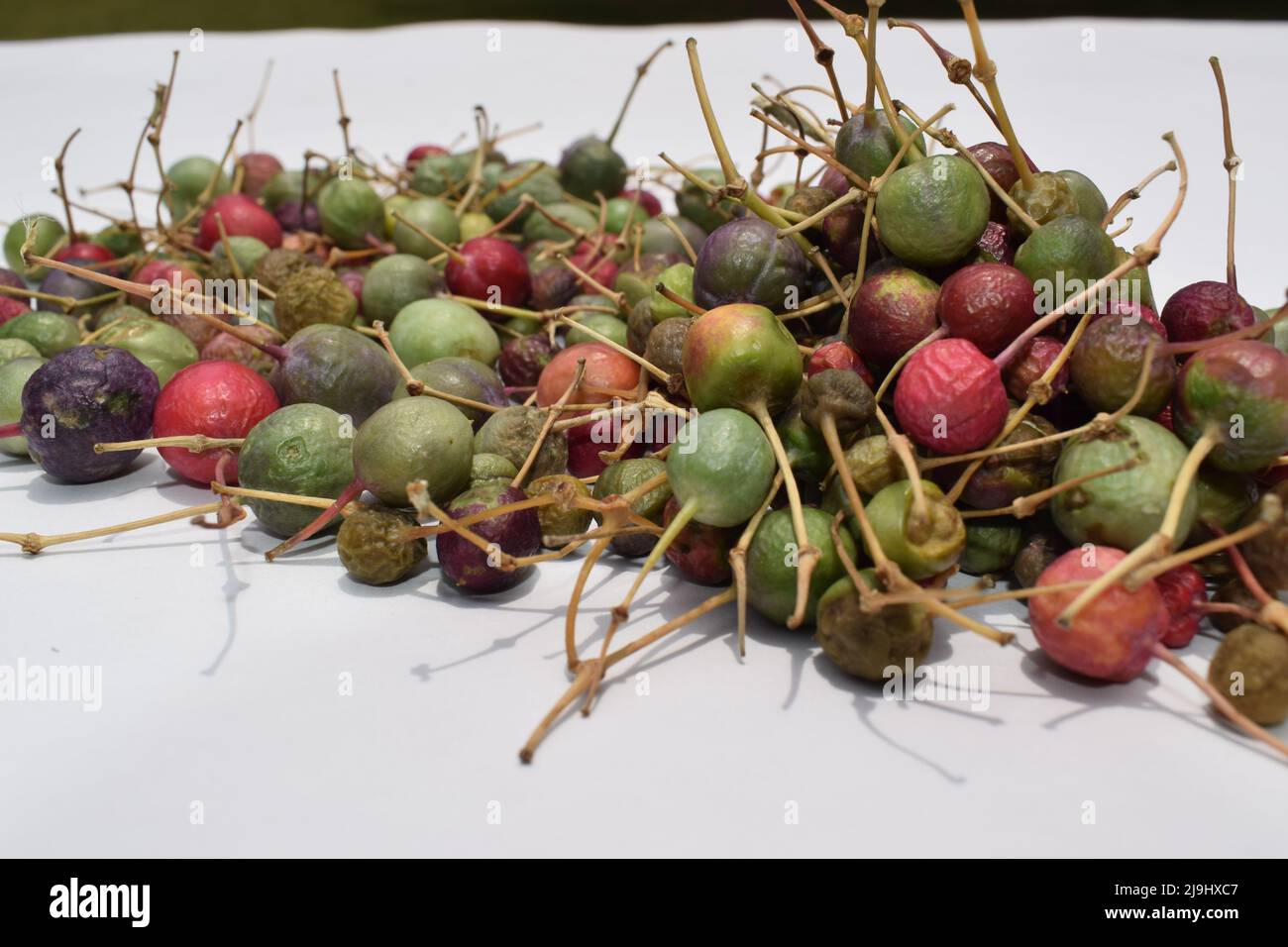 Ayurvedic berry hi-res stock photography and images - Alamy