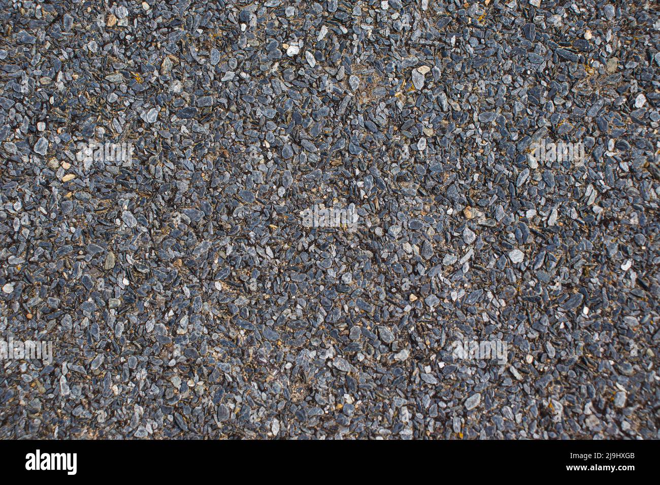 Texture of the sheet of roofing material. Small pebbles glued to the ...