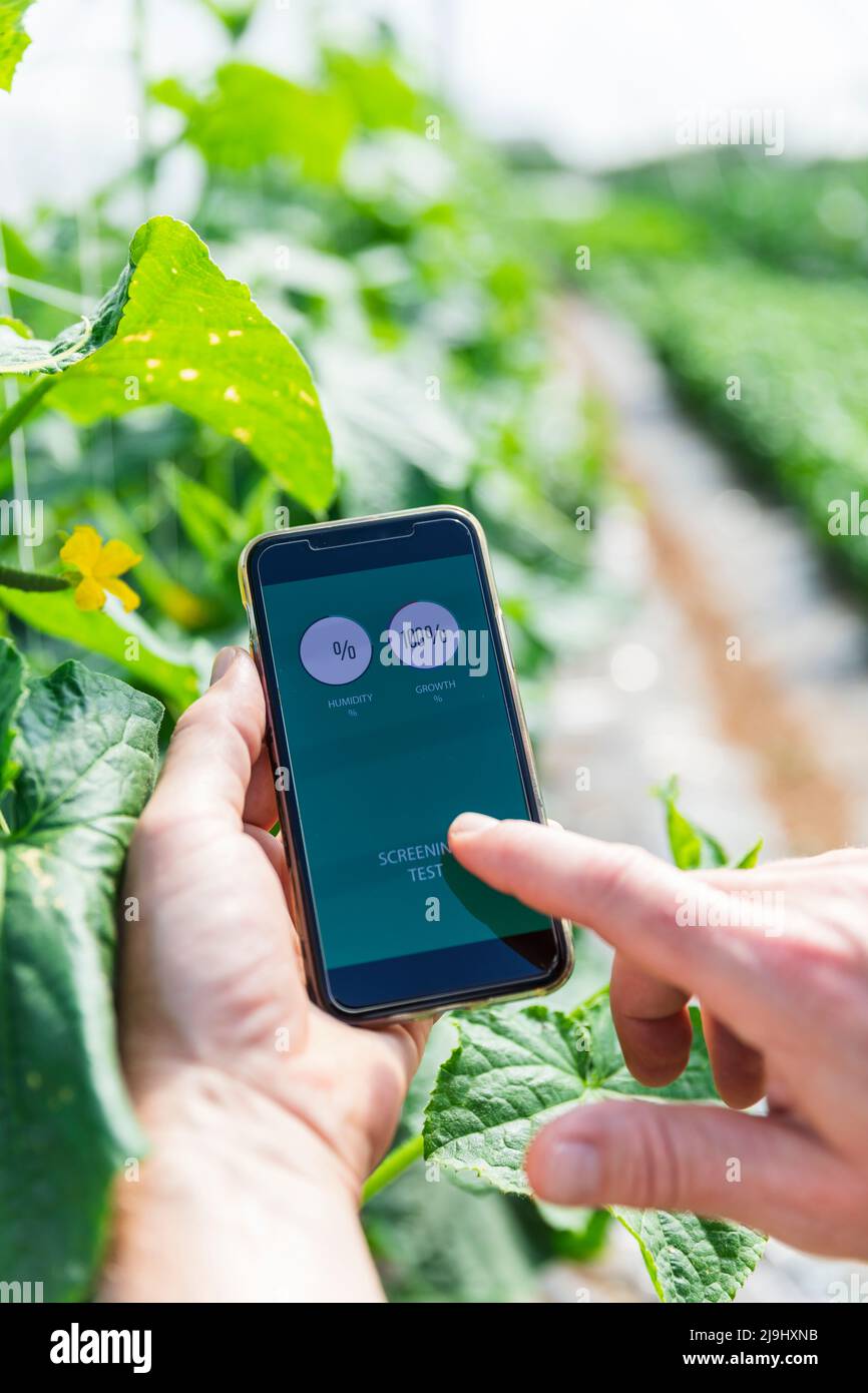 Greenhouse humidity hi-res stock photography and images - Alamy