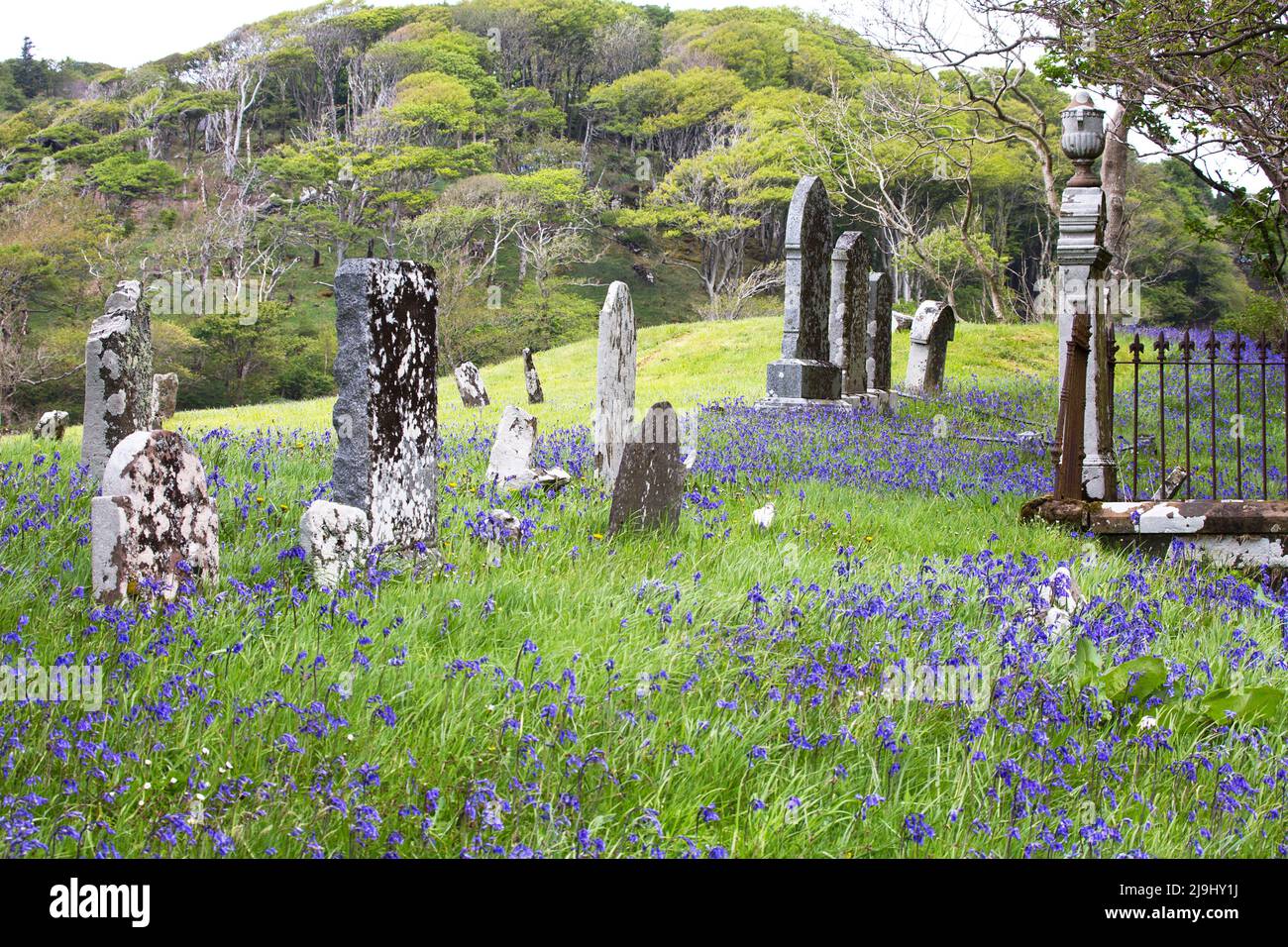 Calgary Bay, Isle of Mull, Scotland Stock Photo - Alamy