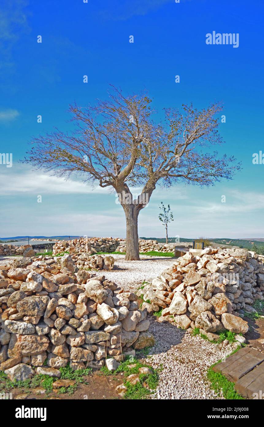 Gobekli Tepe (the name means "belly hill" in Turkish) has a gently ...