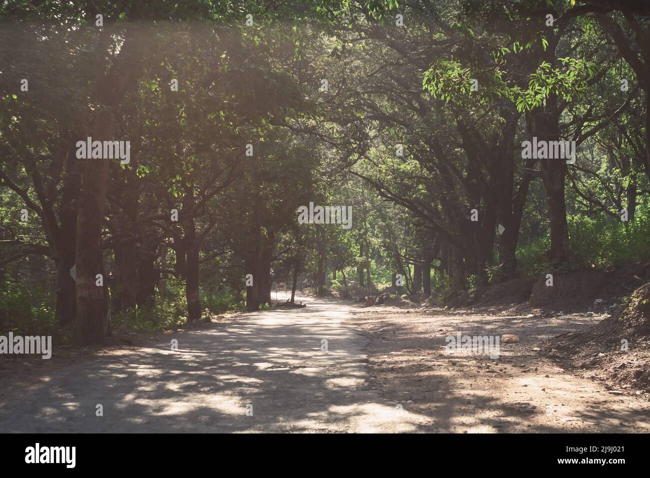 View on rural road in the forest near village Rishikesh in Uttarakhand ...