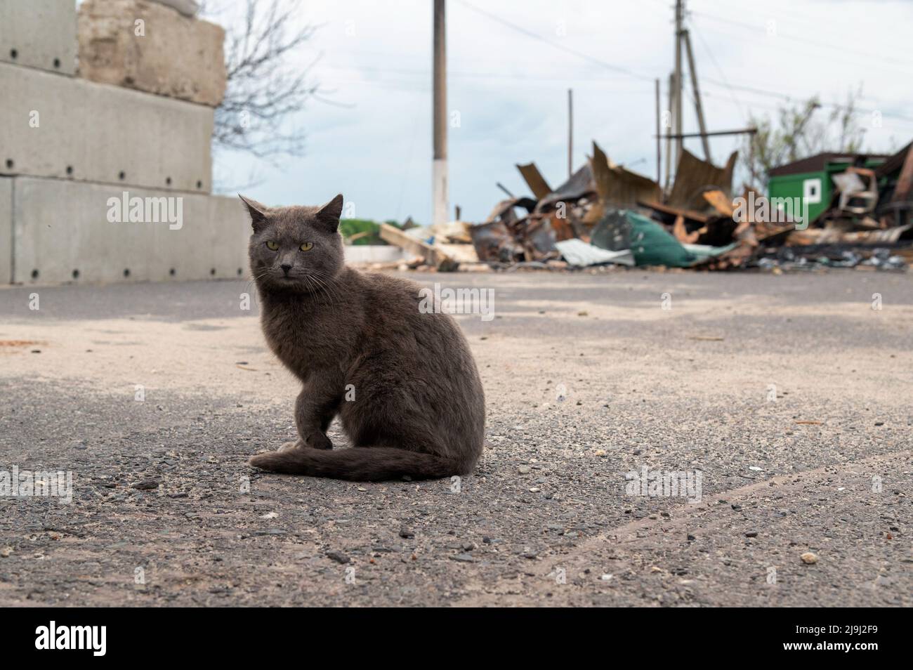 Checkpoint and border crossing Tetkino on the Russian-Ukrainian border ...