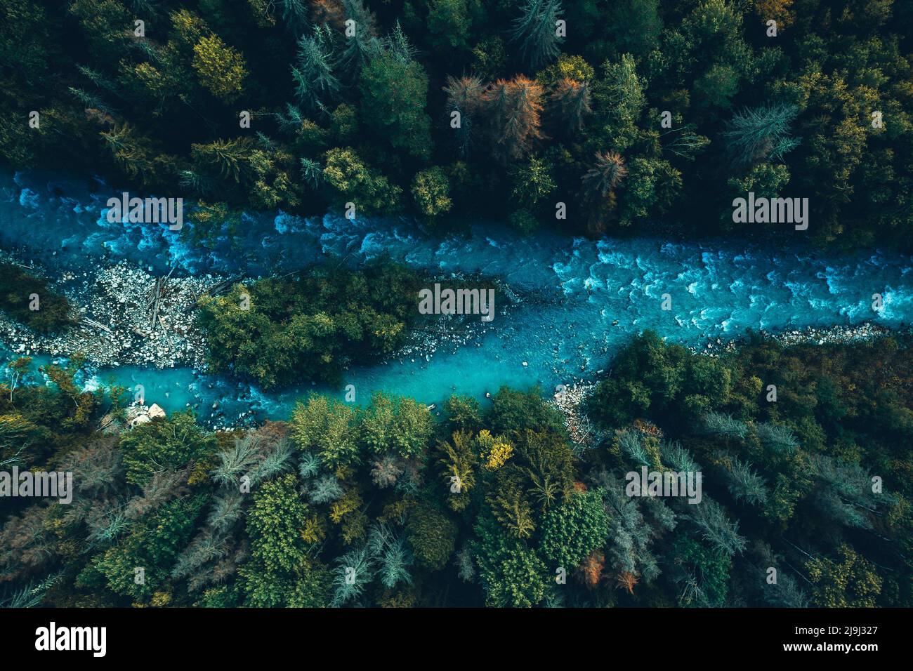 Forest river aerial view hi-res stock photography and images - Alamy