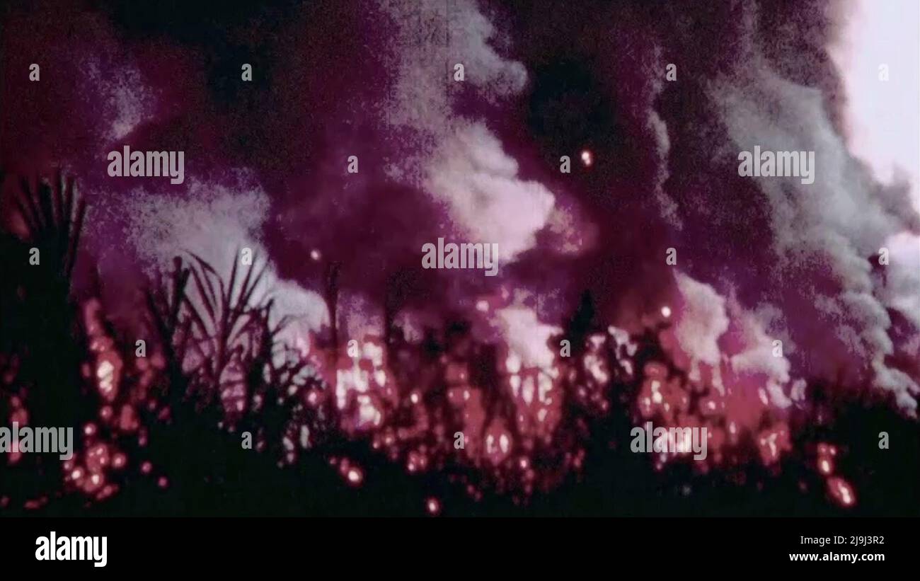 CANE FIRE, 16mm archival footage of a cane fire being documented by a ...