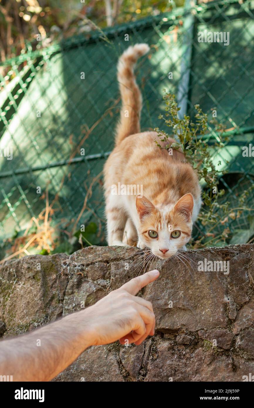Little red man hi-res stock photography and images - Alamy