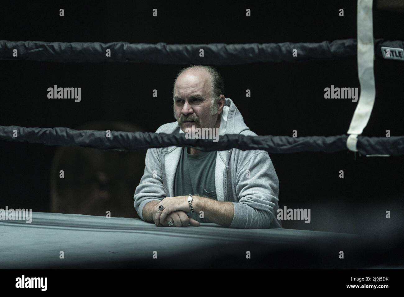 BETTER CALL SAUL, Steve Bannos, 'Black and Blue', (Season 6, ep. 605 ...