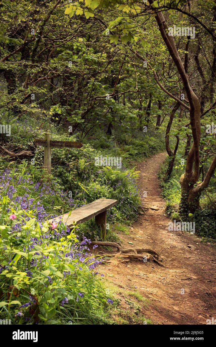 Winding footpath hi-res stock photography and images - Alamy