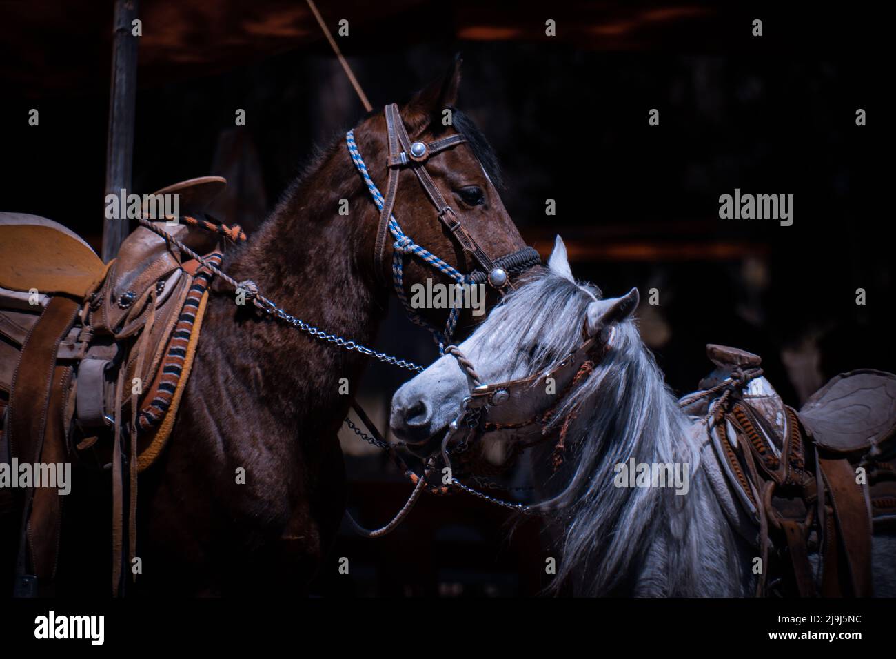 Couple embraced together hi-res stock photography and images - Alamy