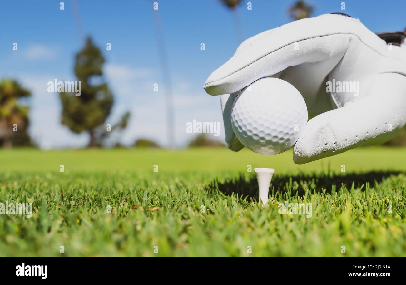Hand putting golf ball on tee in golf course. Golf ball in grass. Golf ...