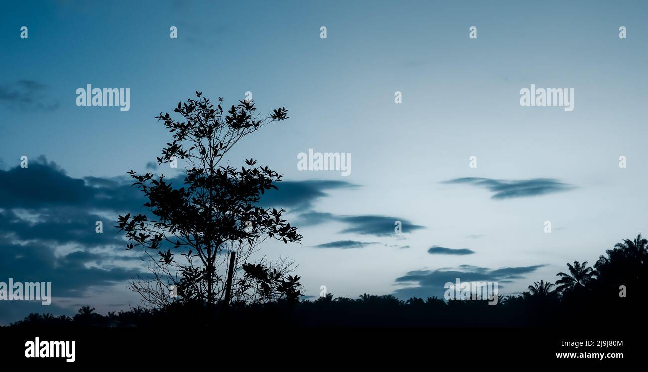 Its a beautiful morning hi-res stock photography and images - Alamy