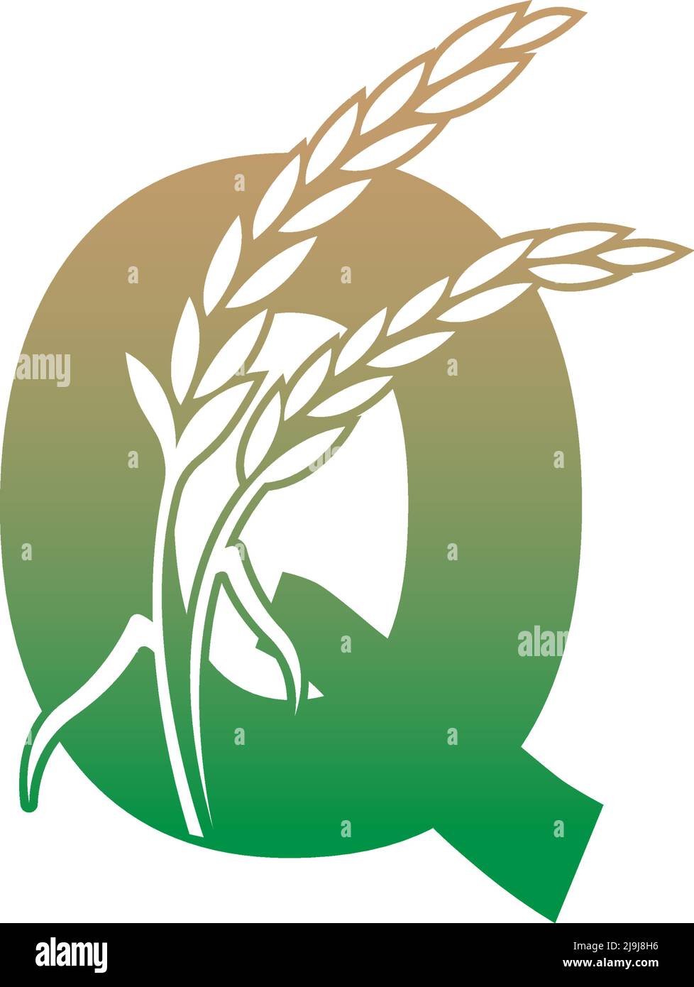 Letter Q with rice plant icon illustration template vector Stock Vector ...