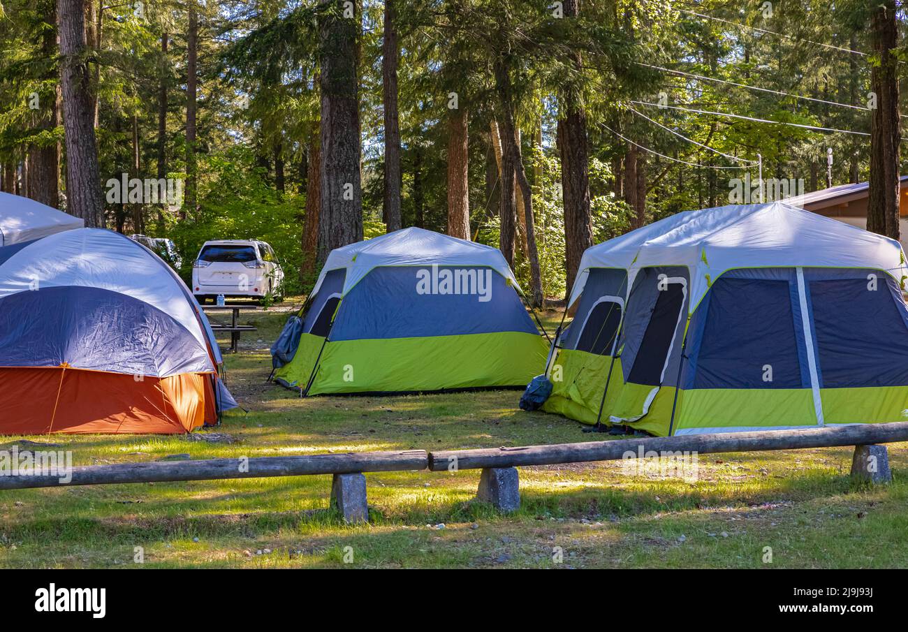 Amazing scene of campsite in the park with sun rays. Morning shadows ...