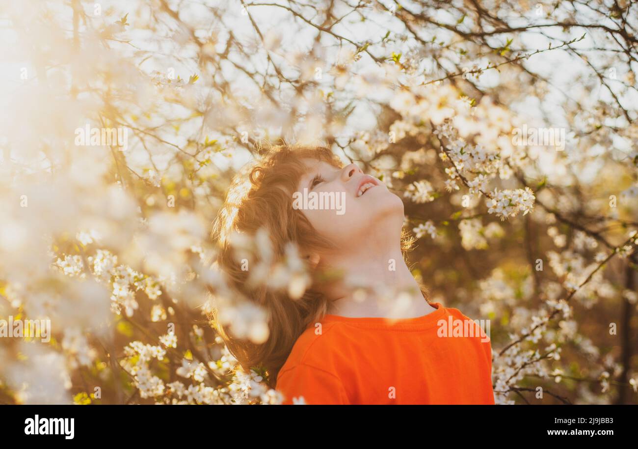 Spring boy in blooming tree in spring park. Smiling kid outdoor ...