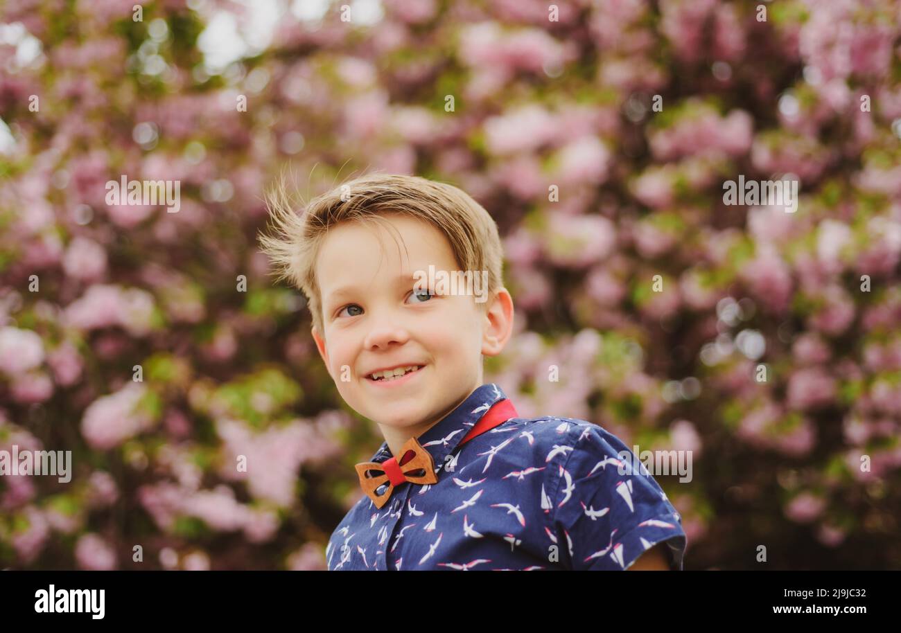 Smiling child happy boy in pink blooming japanese sakura background ...