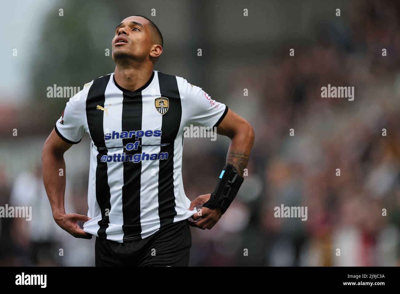 Richard brindley hi-res stock photography and images - Alamy