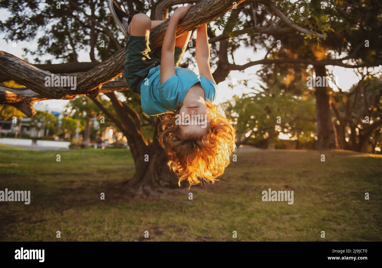 Child on a tree. Insurance kids. Health care insurance concept for kids ...