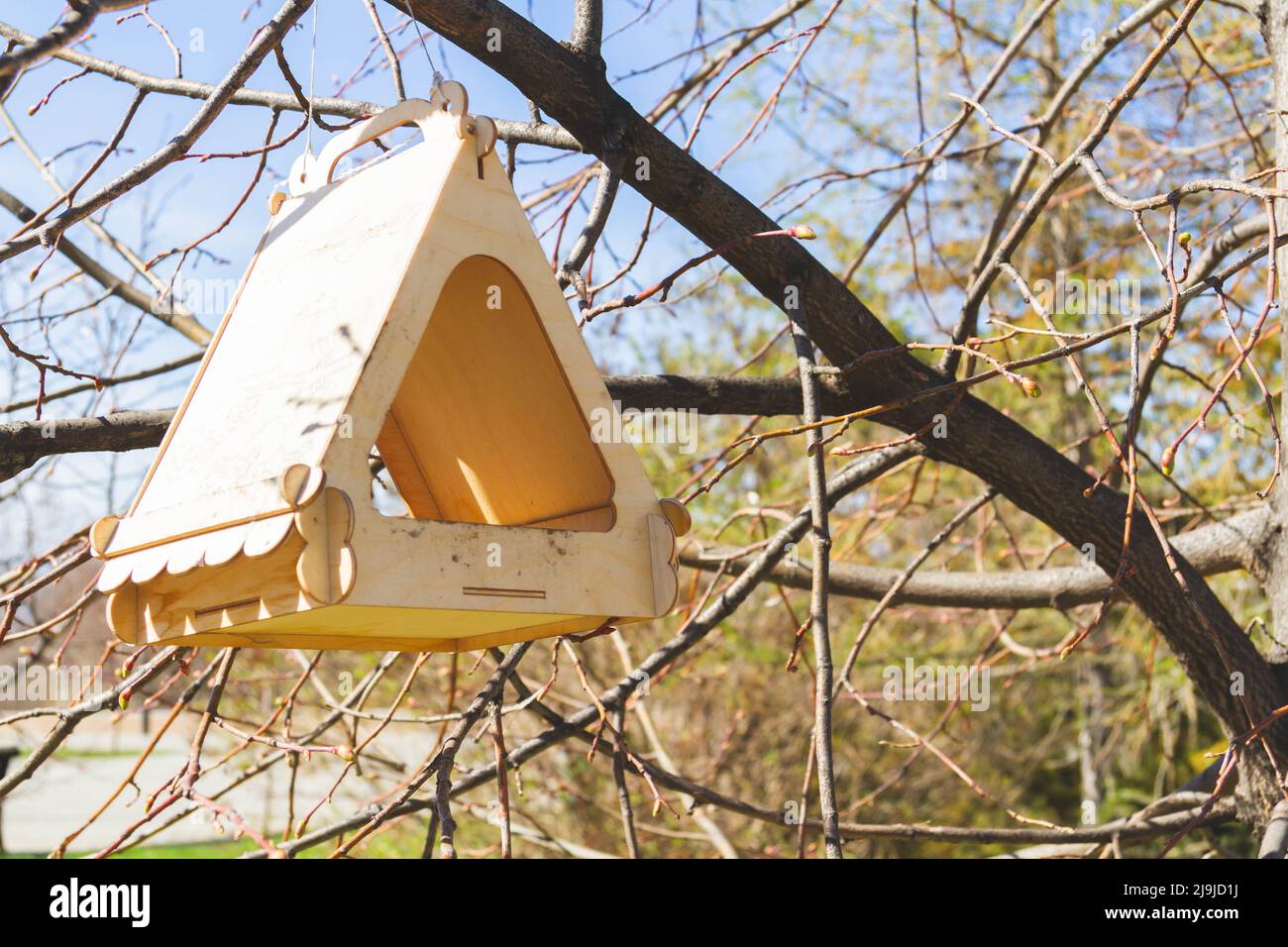 Bird feeders. Feeding birds in the forest. Birdhouse on a tree. Caring ...