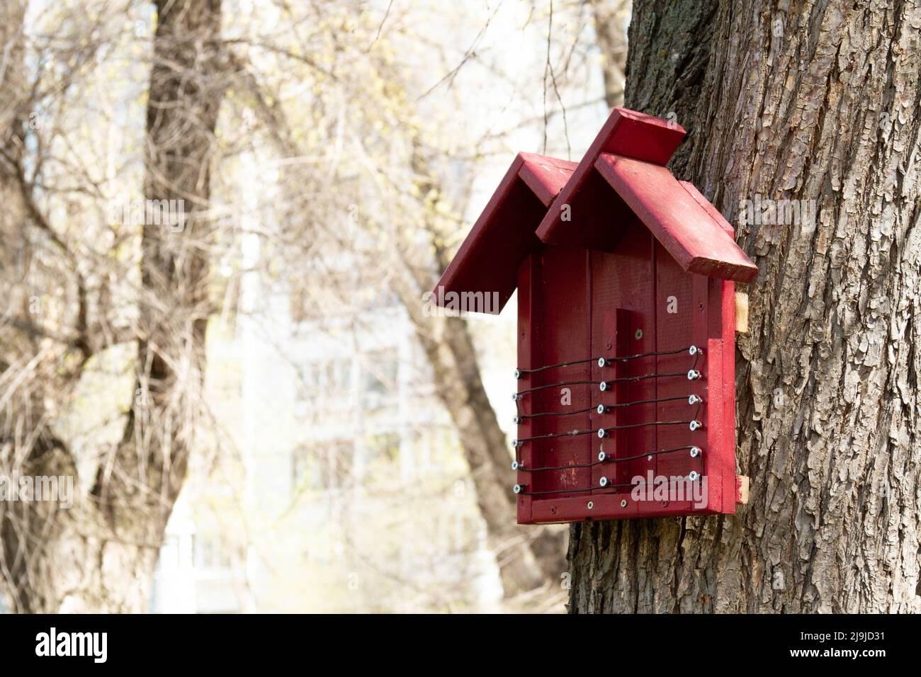 Bird feeders. Feeding birds in the forest. Birdhouse on a tree. Caring ...