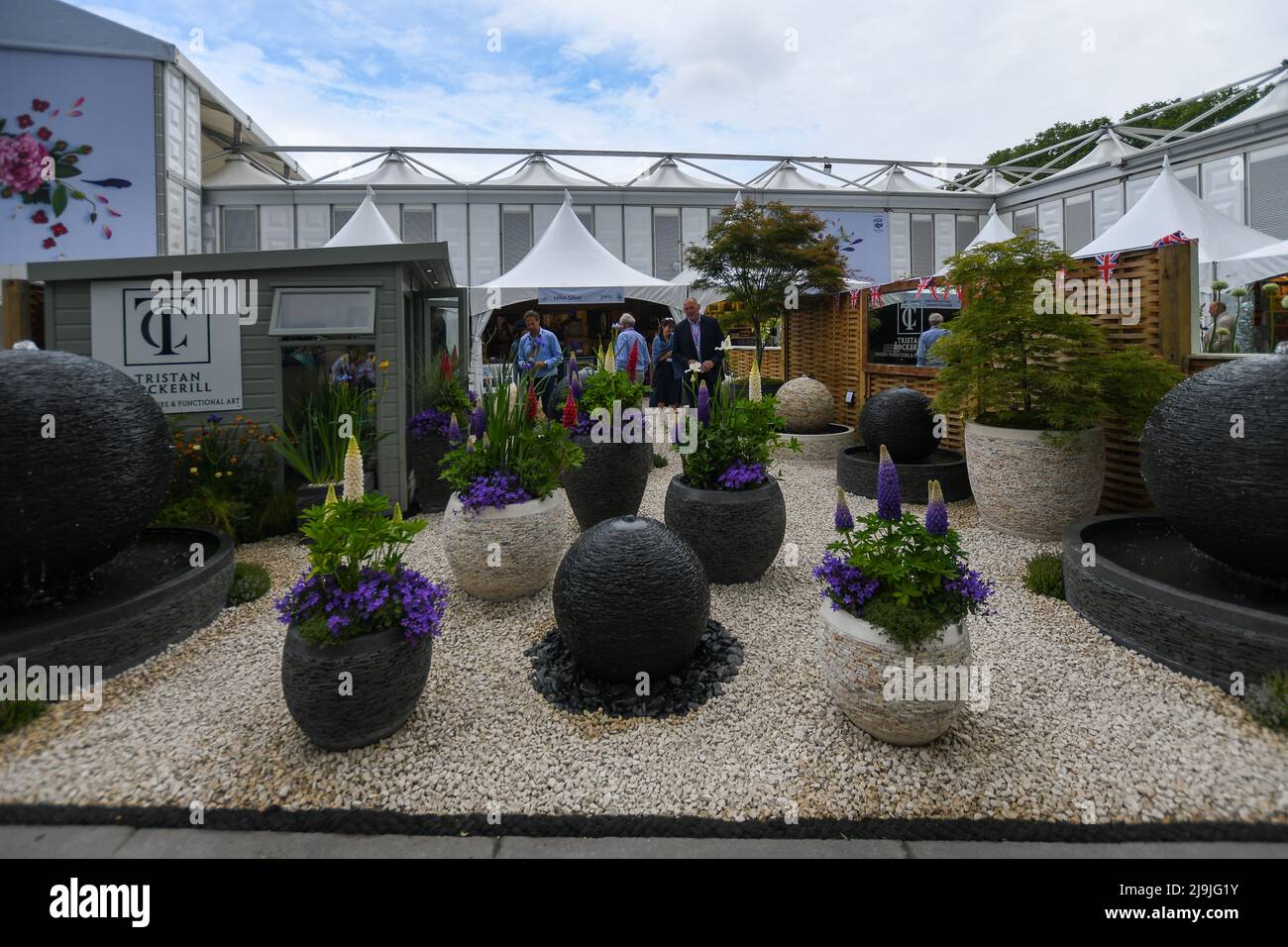 Chelsea Flower Show is back after three years due to the pandemic. It ...