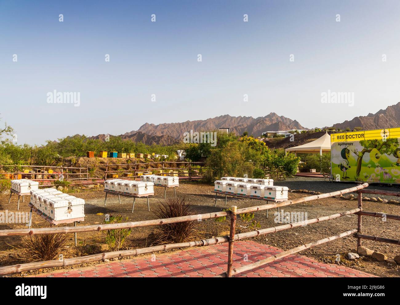 Different types of bee hives in display Stock Photo - Alamy