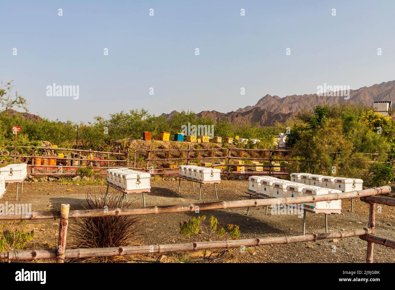 Different types of bee hives in display Stock Photo - Alamy