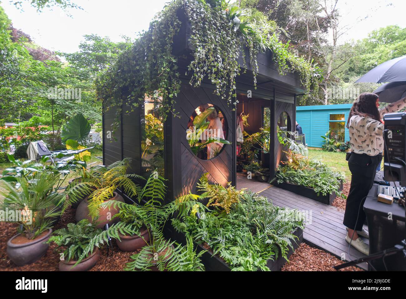 Chelsea Flower Show is back after three years due to the pandemic. It ...
