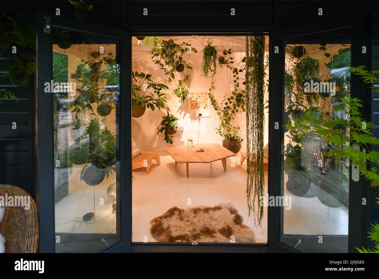 Chelsea Flower Show is back after three years due to the pandemic. It ...