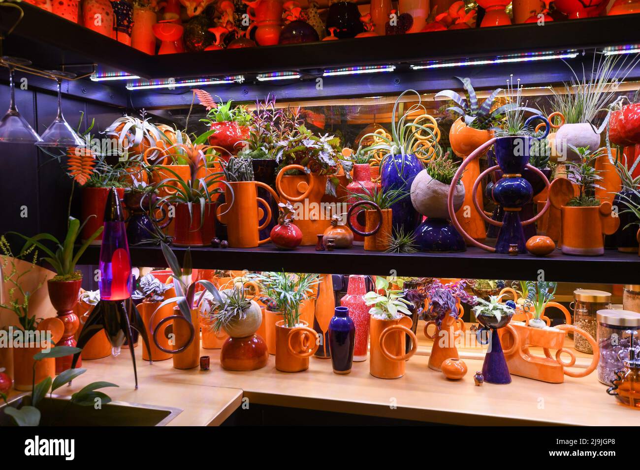 Chelsea Flower Show is back after three years due to the pandemic. It ...