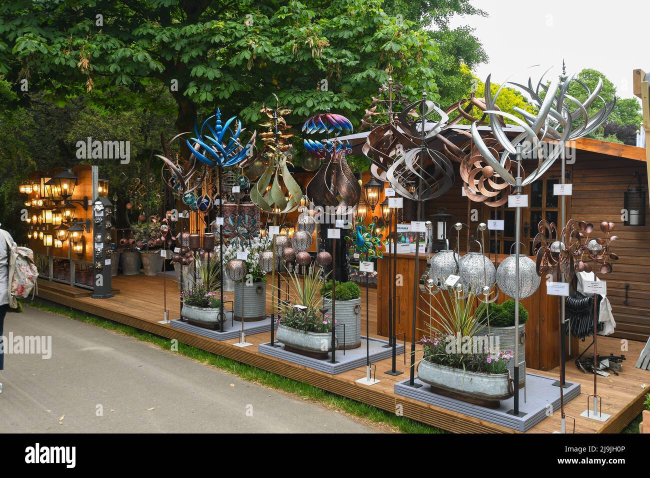 Chelsea Flower Show is back after three years due to the pandemic. It ...