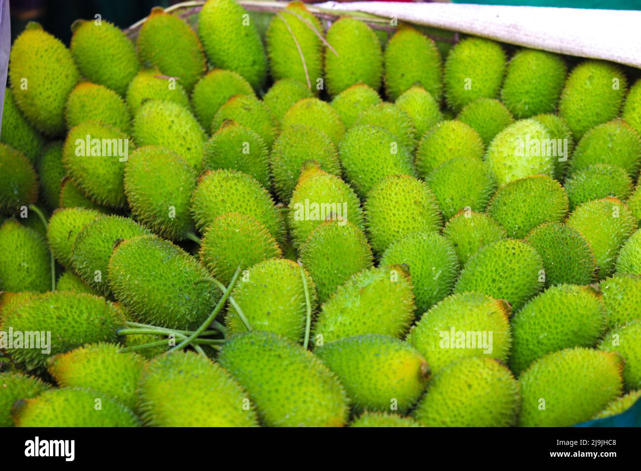 fresh healthy Sweet Bitter Gourd stock on shop for sell Stock Photo - Alamy