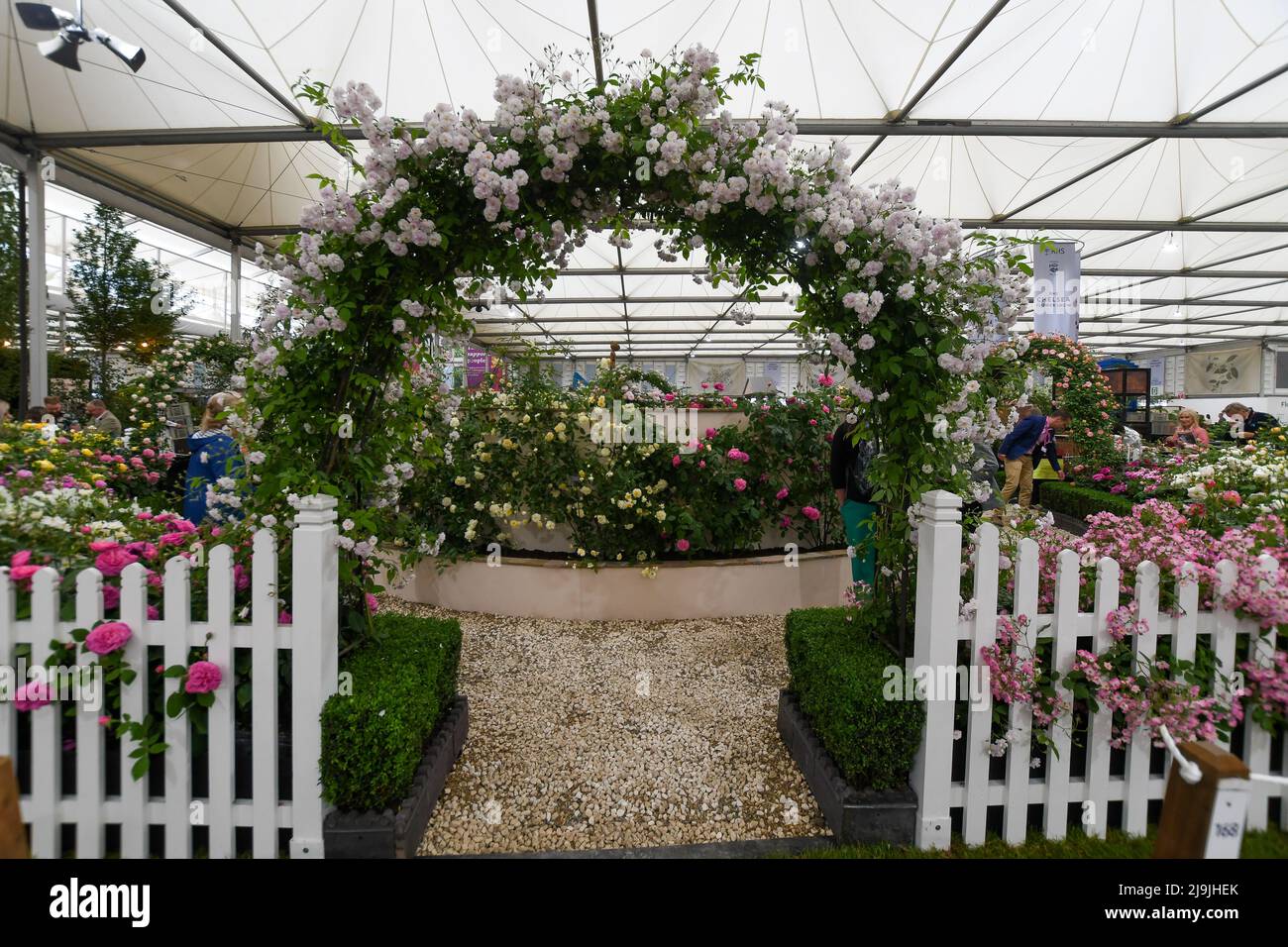 Chelsea Flower Show is back after three years due to the pandemic. It ...