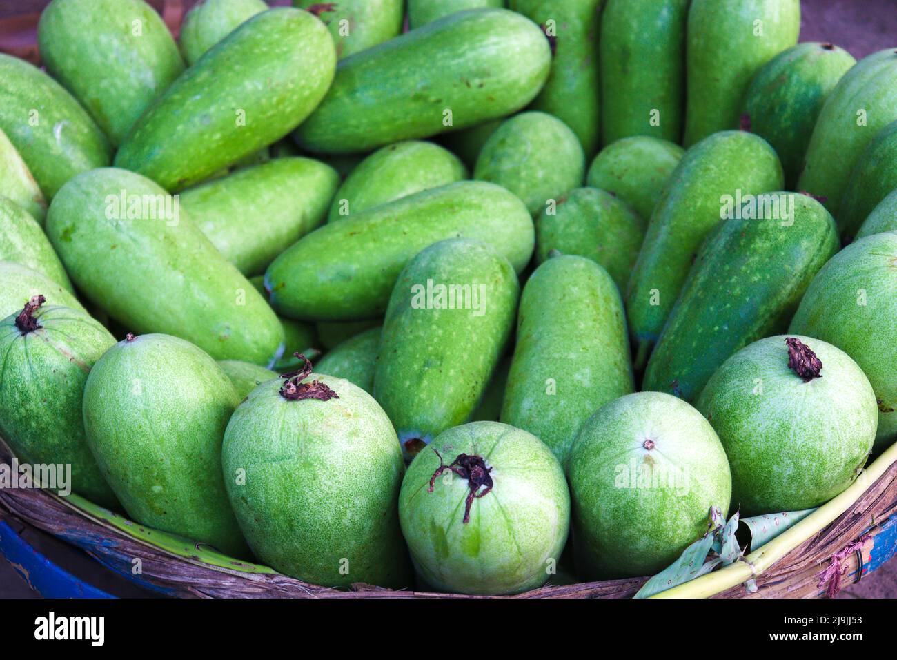 fresh and healthy wax gourd stock on shop for sell Stock Photo - Alamy