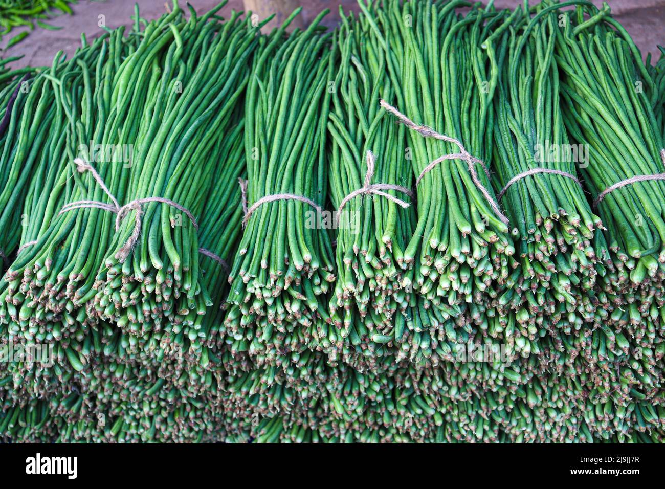 Bean stock hi-res stock photography and images - Alamy