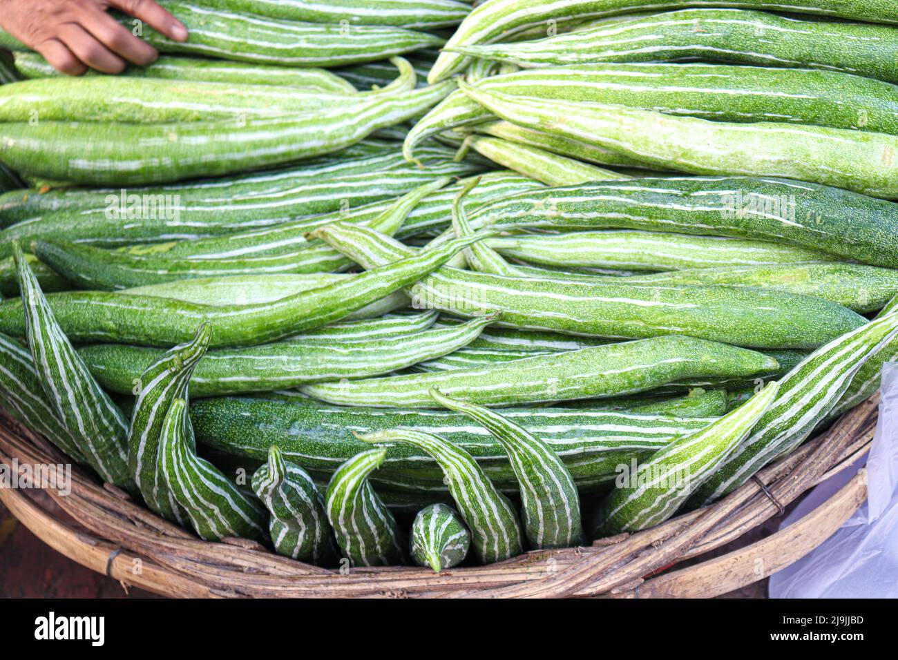fresh and healthy Snake Gourd stock on shop Stock Photo - Alamy