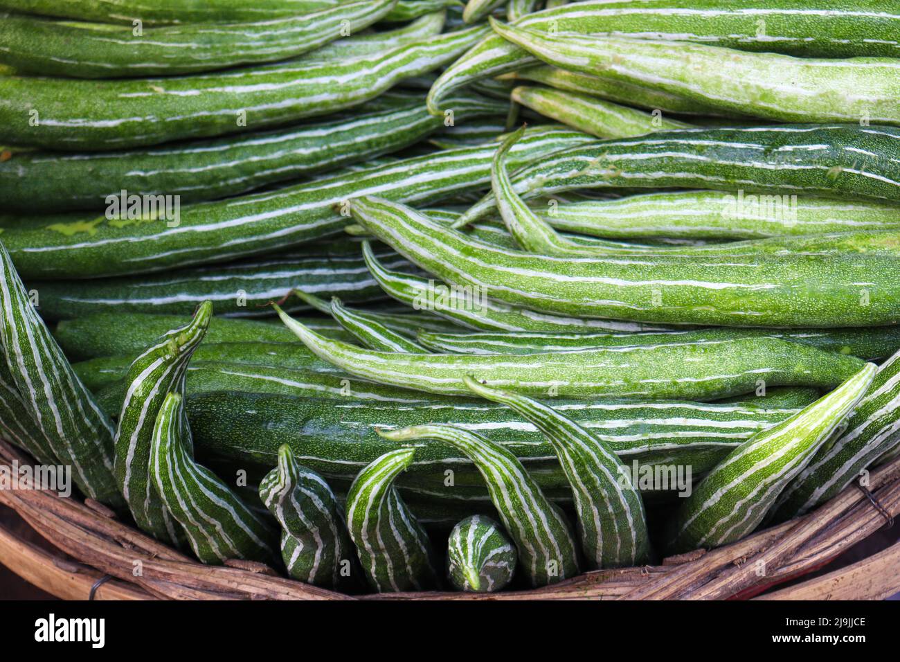 fresh and healthy Snake Gourd stock on shop Stock Photo - Alamy