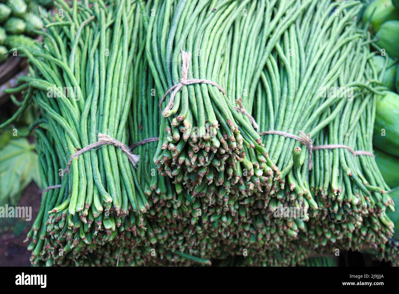 fresh and healthy Yardlong bean stock on shop for sell Stock Photo - Alamy