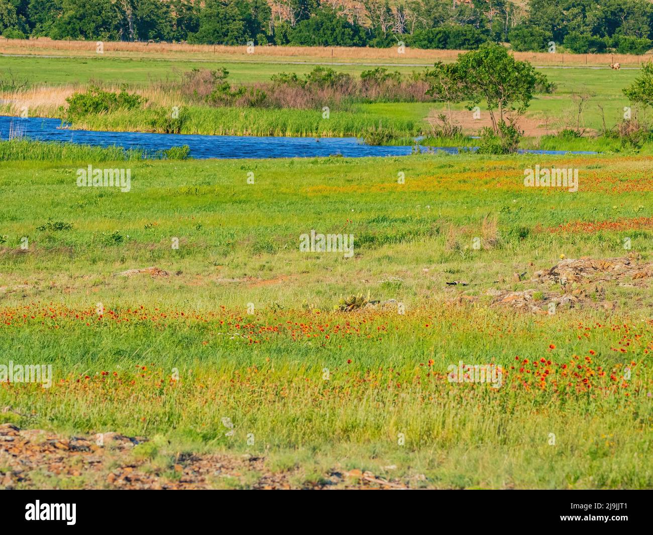 Sunny view of the landscape around Wichita Mountains Wildlife Refuge at ...